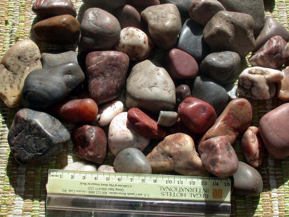 Dinosaur Gastroliths, Dinosaur Gizzard Stones, Noble Roman Coins
