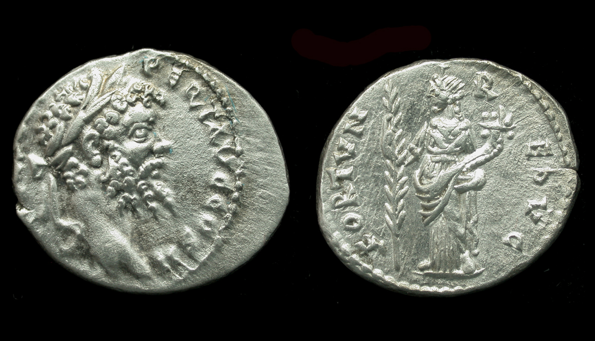 Septimius Severus, Denarius, Fortuna Reverse, Emesa Mint! SOLD!, Noble ...