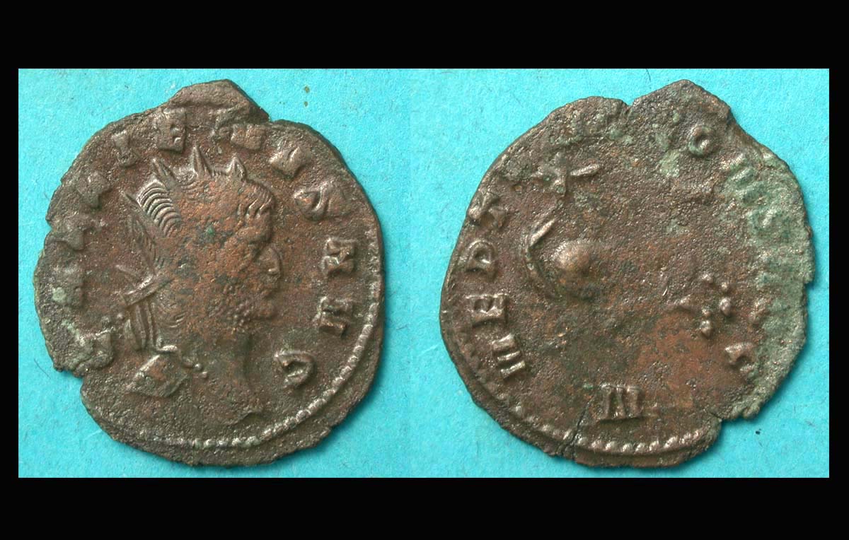 Gallienus, Zoo Issue, Hippocamp Swimming reverse, Noble Roman Coins