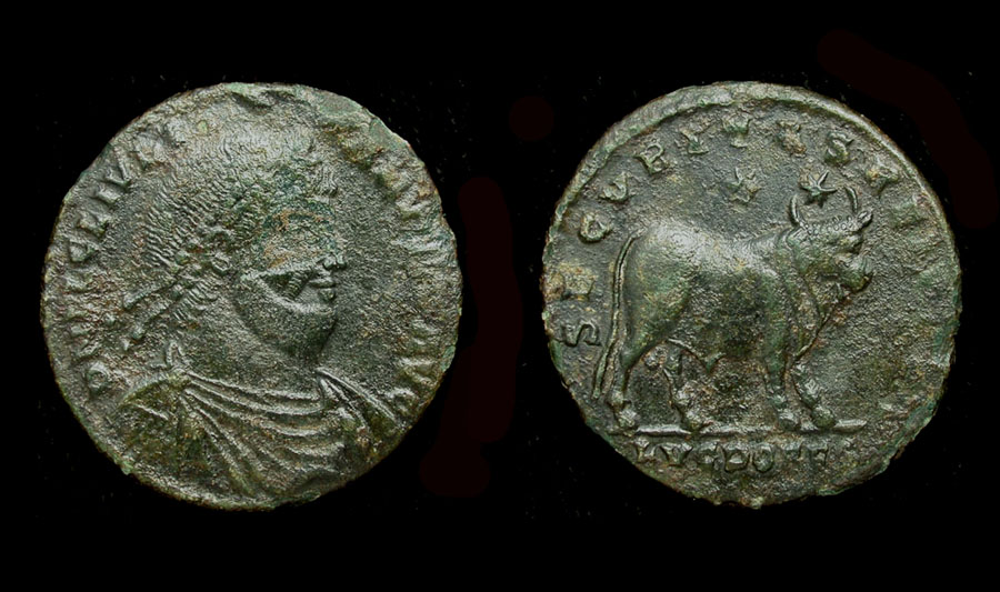 Julian II, Æ 1, Bull Reverse, Lyon mint, Noble Roman Coins